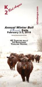 K2 Red Angus Cattle in Wheatland, WY - Click to view our Cattle sales