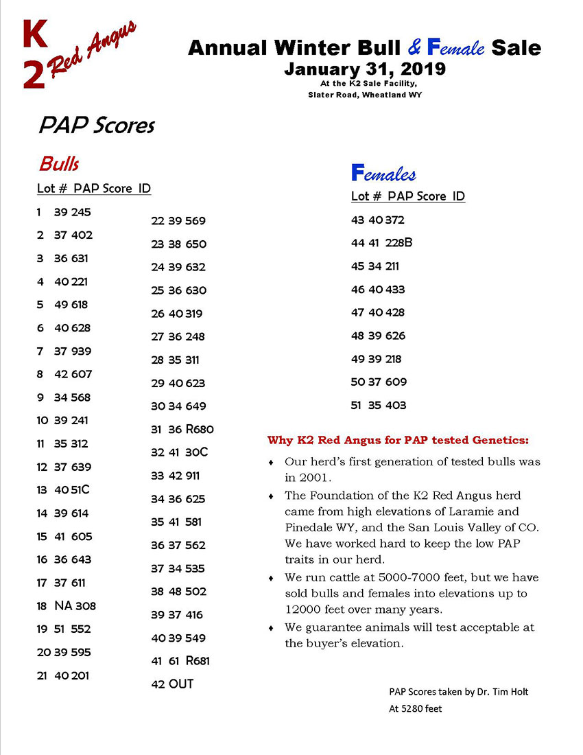Bulls - K2 Red Angus