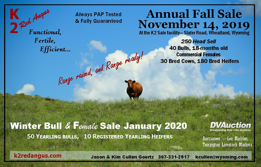 K2 Red Angus Cattle in Wheatland, WY - Click to view our Cattle sales