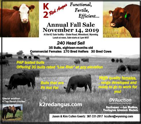 Bulls - K2 Red Angus