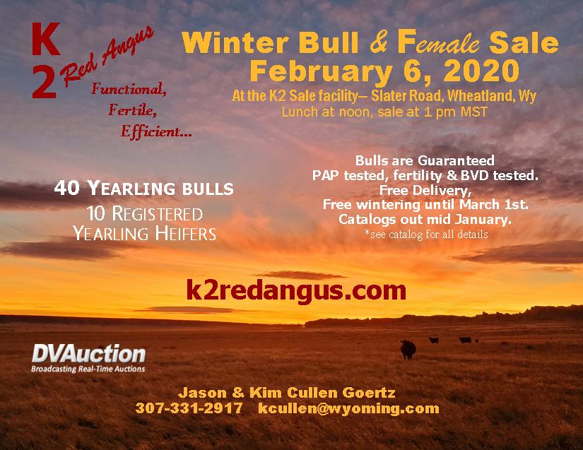 K2 Red Angus Cattle in Wheatland, WY - Click to view our Cattle sales